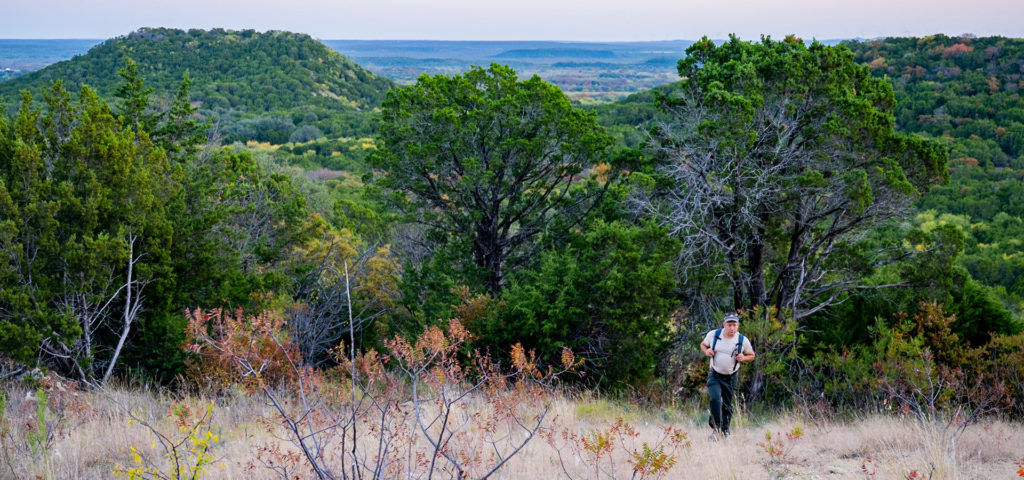 Dan Oko - We Will Not Be Tamed
