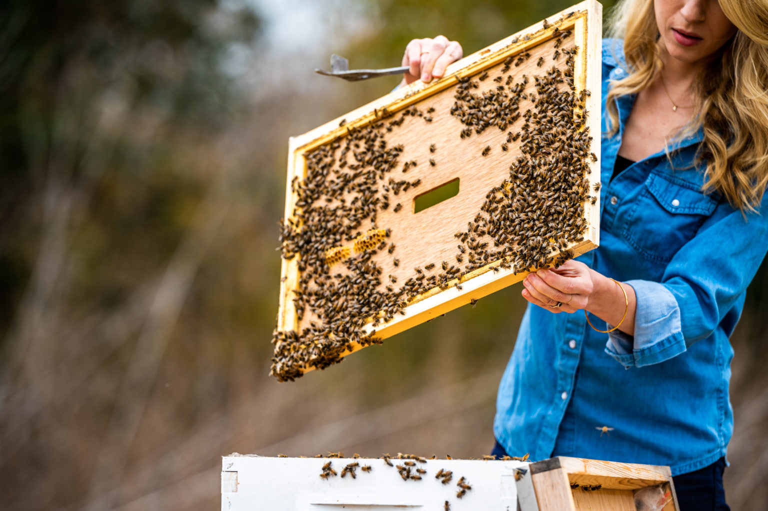 We Will Not Be Tamed: Meet Erika Thompson - We Will Not Be Tamed